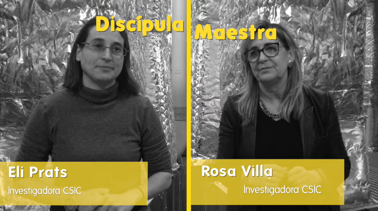 Día de la Mujer y la Niña en la Ciencia – Rosa Villa – Apprende Digital